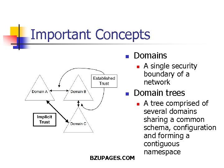 An Introduction to BZUPAGES COM Introduction n