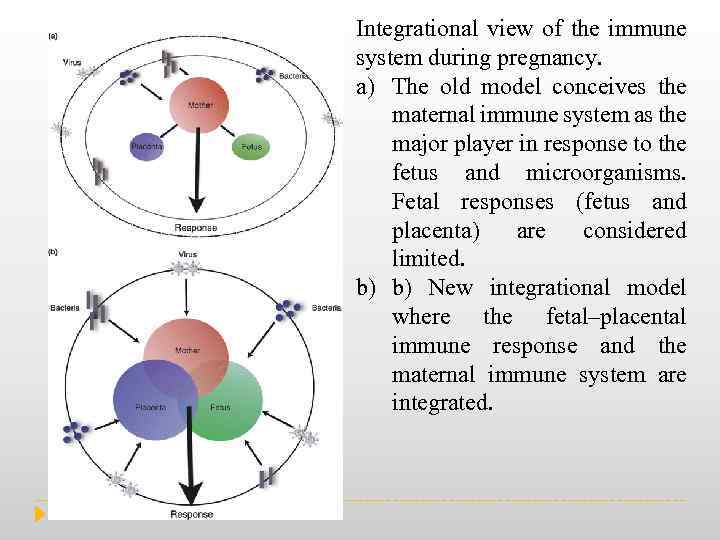 Immunophysiology of reproductive system Over 50 years