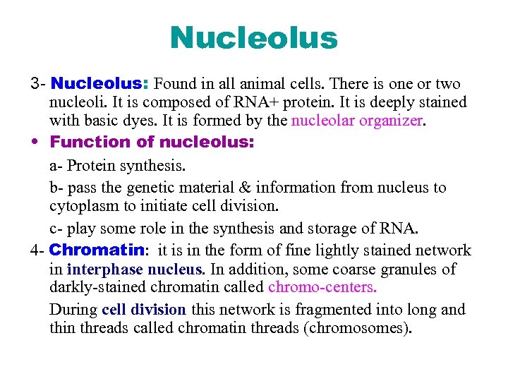Divisions of Basic Sciences 1 2 3 4