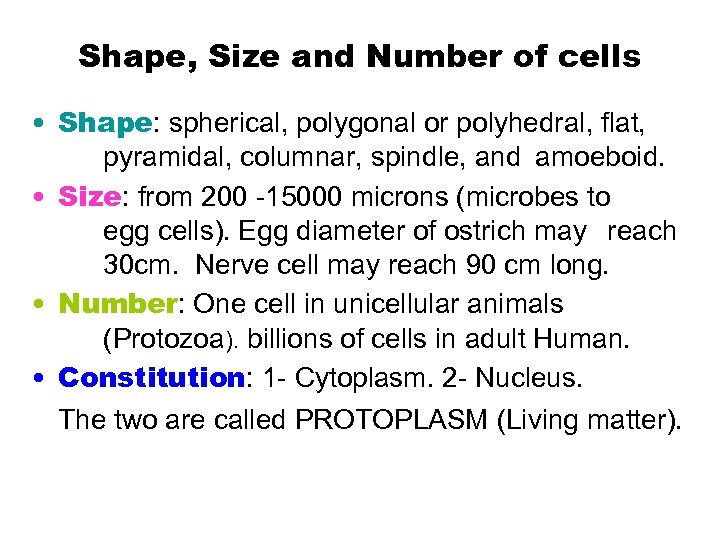 Divisions of Basic Sciences 1 2 3 4