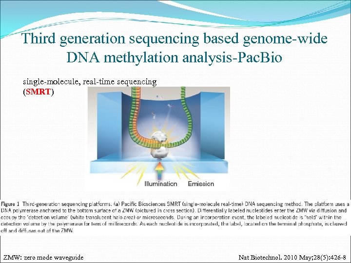 Genome-wide DNA methylation analysis Bi-Qing Li Key Laboratory