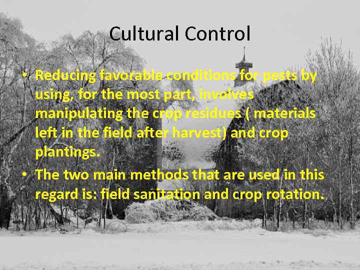 Cultural control of pests HORT 378 Integrated Insect