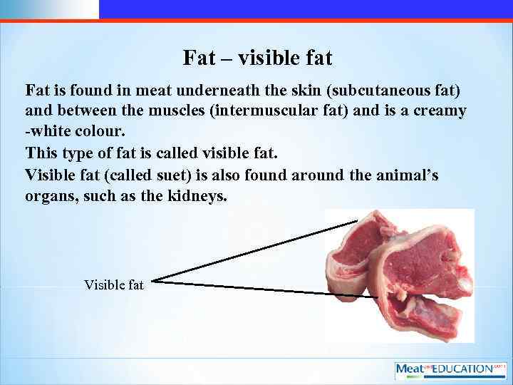 Basic terms used in the industry of meat