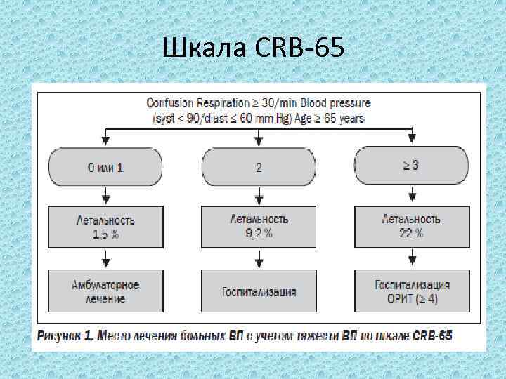 Николаев А В Ошибки диагностики и лечения внебольничных