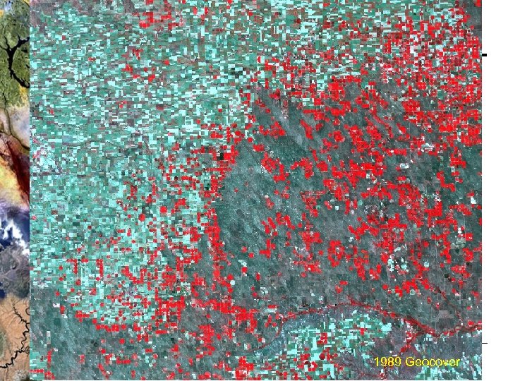 Mid-Decadal Global Land Survey Jeff Masek Biospheric Sciences