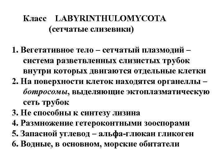Царство Stramenopila 1 Трубчаты кристы митохондрий 2 Перистый
