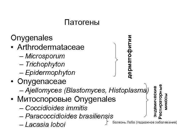 Надотдел Дикариомицеты Dikarya Dikaryomycotera Отдел Ascomycota Отдел ...