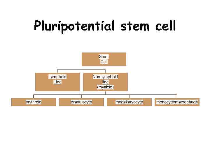 Система крови oxygen transportation by