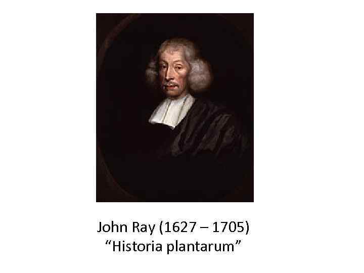 палеоботаника 1660