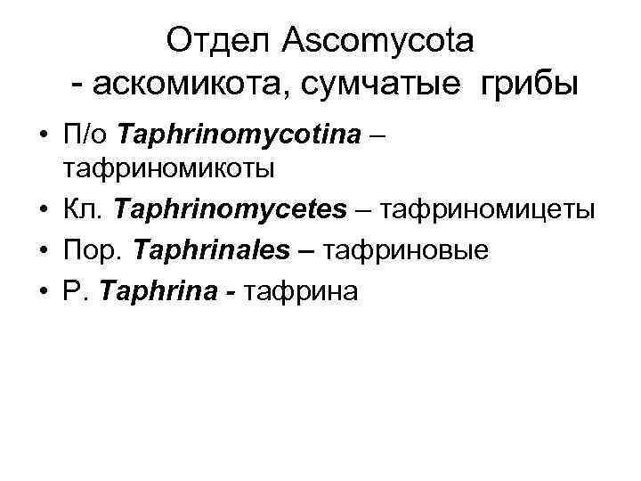 Грибы Отдел Оомикота — Oomycota