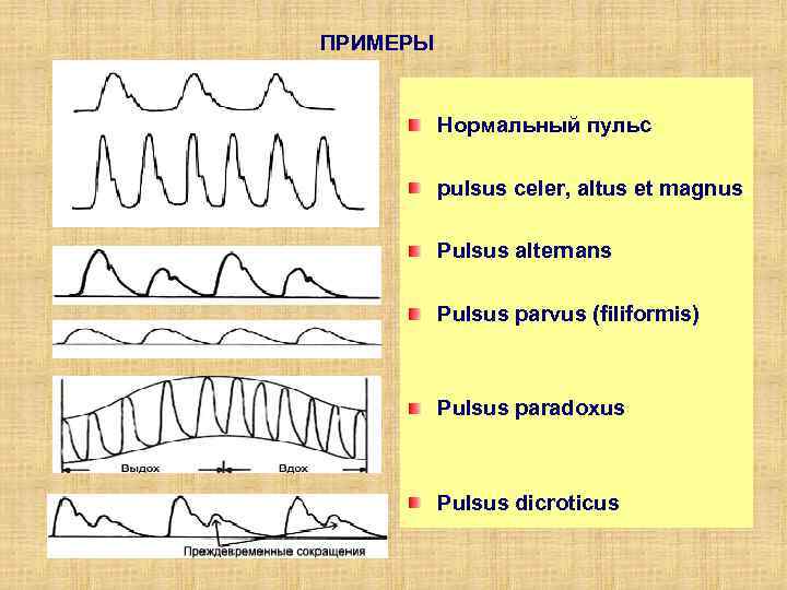 ОПРОС ОСМОТР больных с патологией сердечно-сосудистой системы ПАЛЬПАЦИЯ