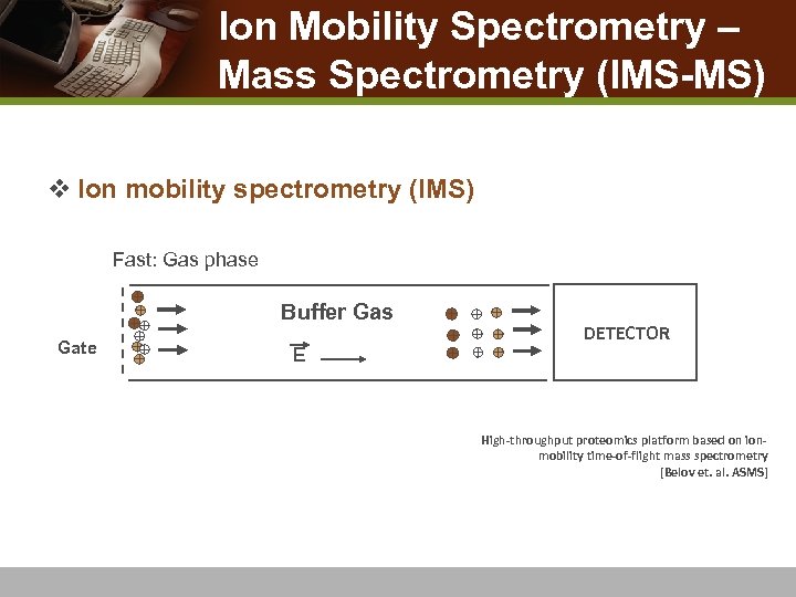 Automatic Analysis of Ion Mobility Spectrometry Mass