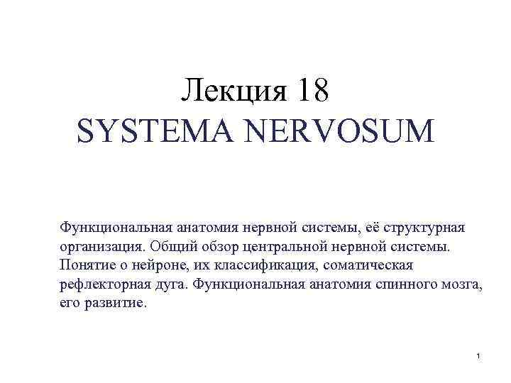 Лекция 18 SYSTEMA NERVOSUM Функциональная анатомия нервной системы