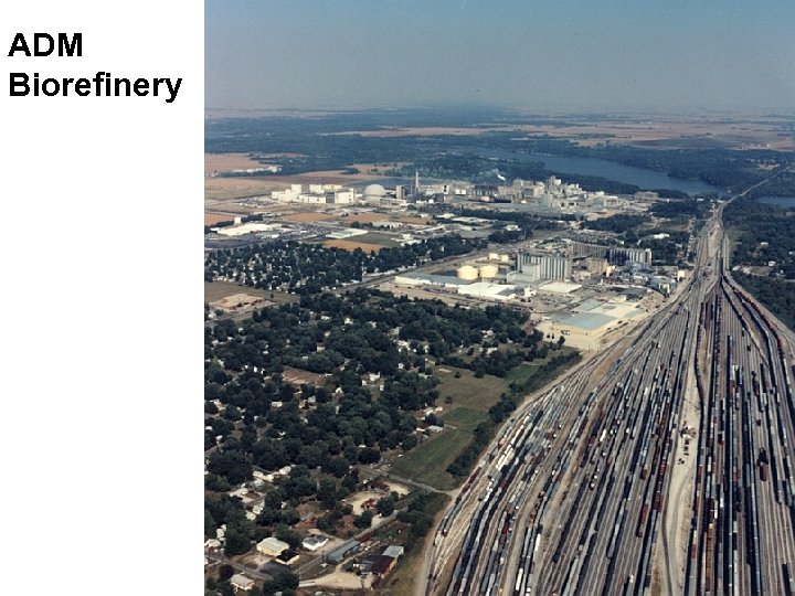 Corn Processing Biorefineries-Present and future outlook Charles Abbas