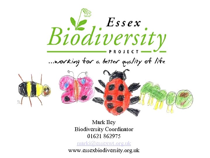 Mark Iley Biodiversity Coordinator 01621 862975 marki essexwt org