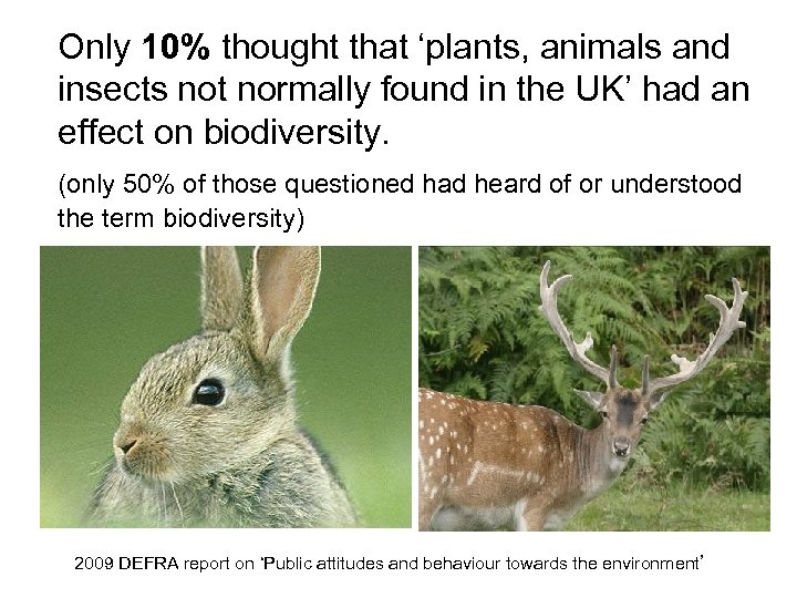 Mark Iley Biodiversity Coordinator 01621 862975 marki essexwt org