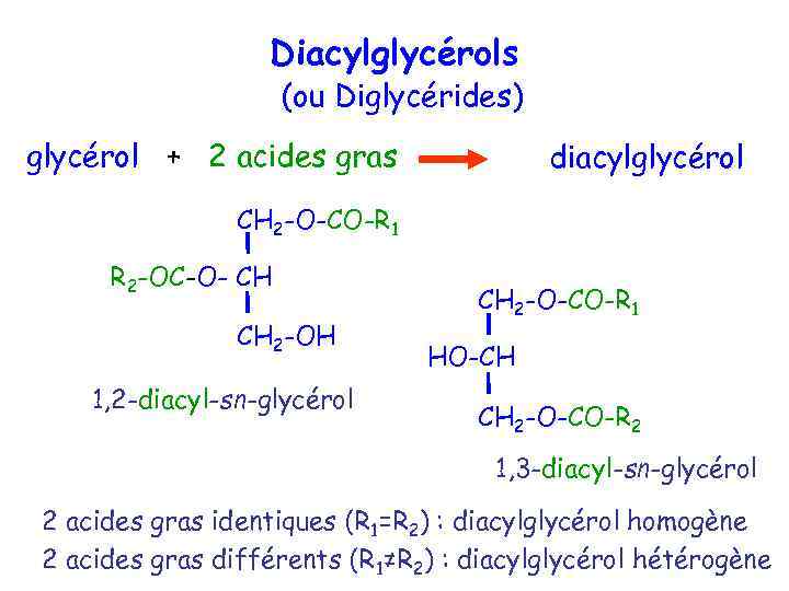Plan du cours 1 2 3 4 5678