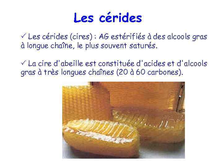 Plan du cours 1 2 3 4 5678