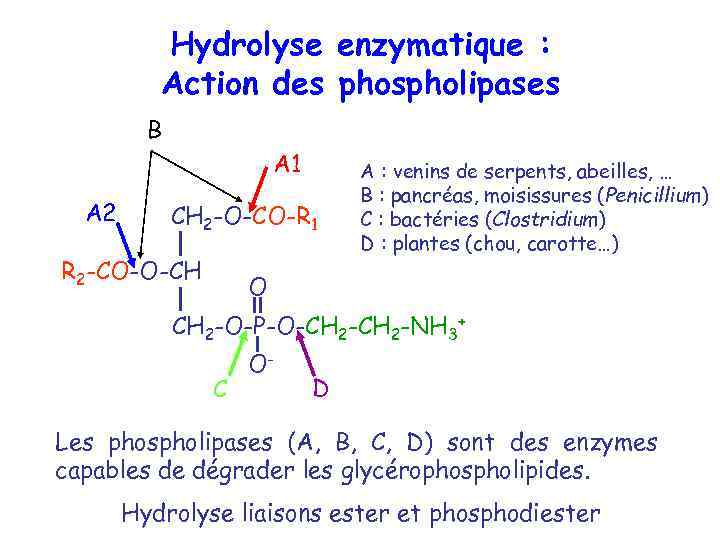 Plan du cours 1 2 3 4 5678