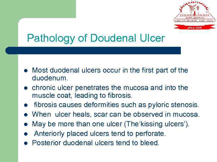 Stomach and Duodenum L 4 Hawler Medical University