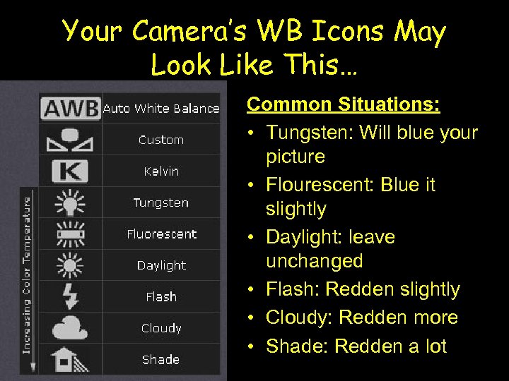 Some Photography BASICS Camera Controls and How They