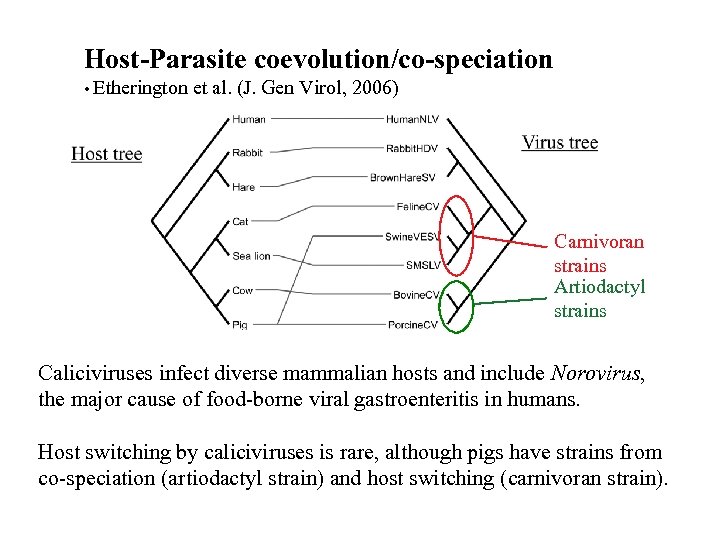 Lecture 1 Overview of Phylogenetic methods and applications