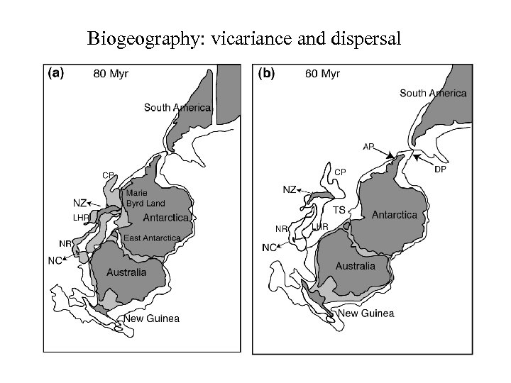 Lecture 1 Overview of Phylogenetic methods and applications