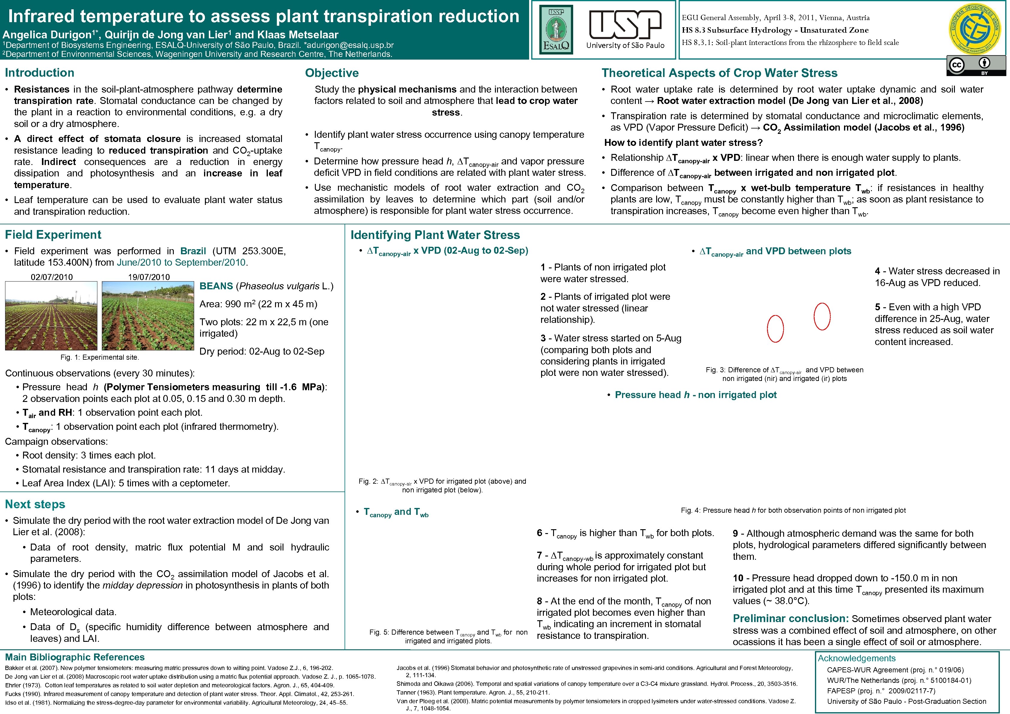 Infrared temperature to assess plant transpiration reduction Angelica