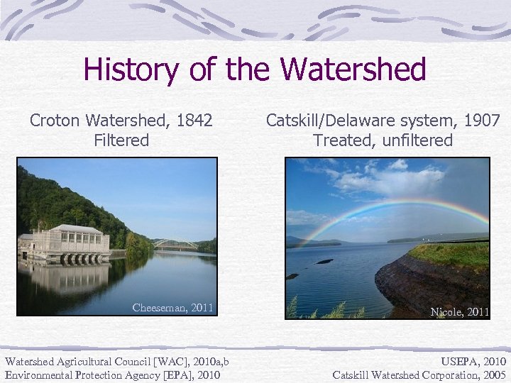 The Benefits of Dairy Calf Health Management within