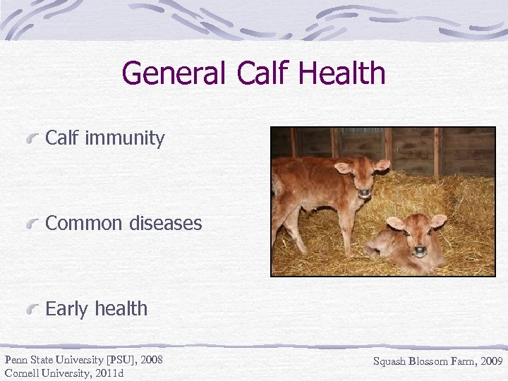 The Benefits of Dairy Calf Health Management within