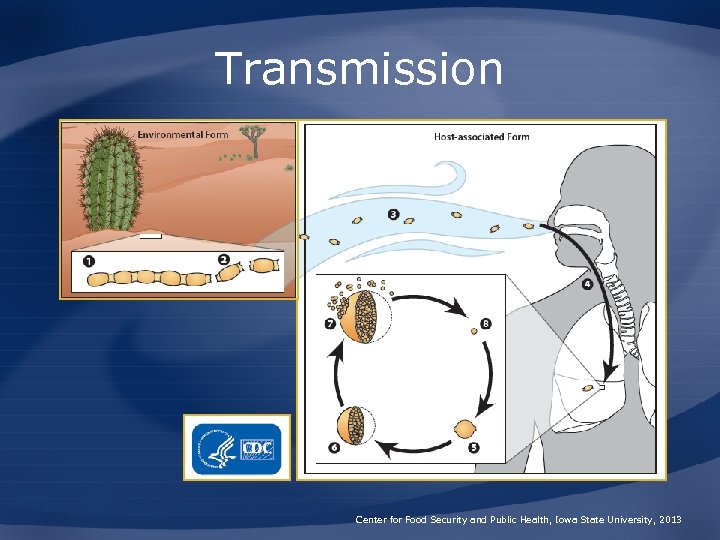 Coccidioidomycosis Valley Fever San Joaquin Valley Fever Desert