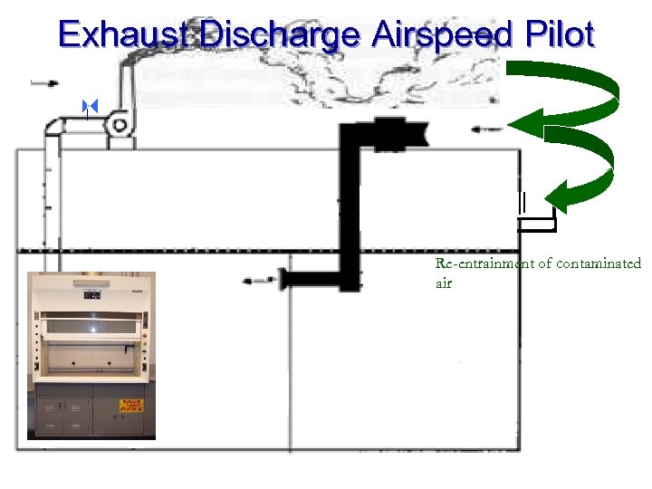 UNIVERSITY OF CALIFORNIA Wendell C Brase Chair University