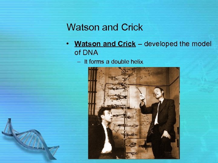 Modern Genetics Watson and Crick Watson