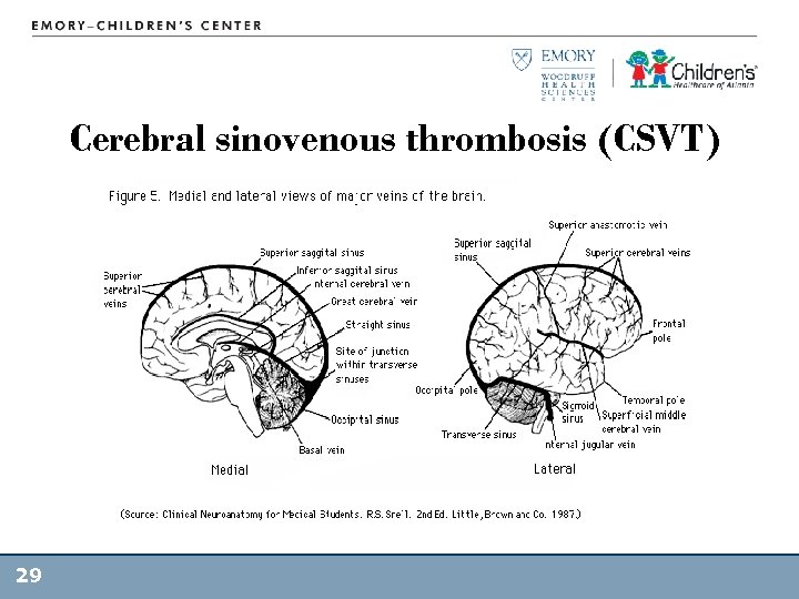 CEREBRAL VASCULAR ACCIDENTS Pediatric Critical Care Medicine Emory