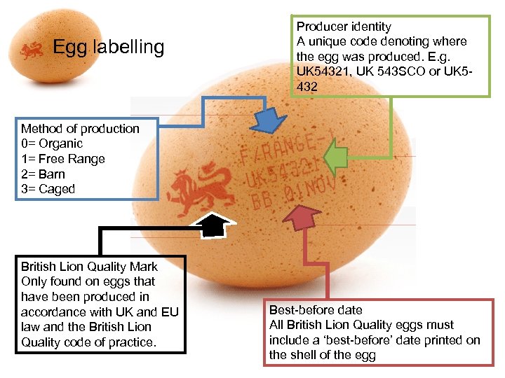 GCSE REVISION NOTES Food words HACCP Hazard