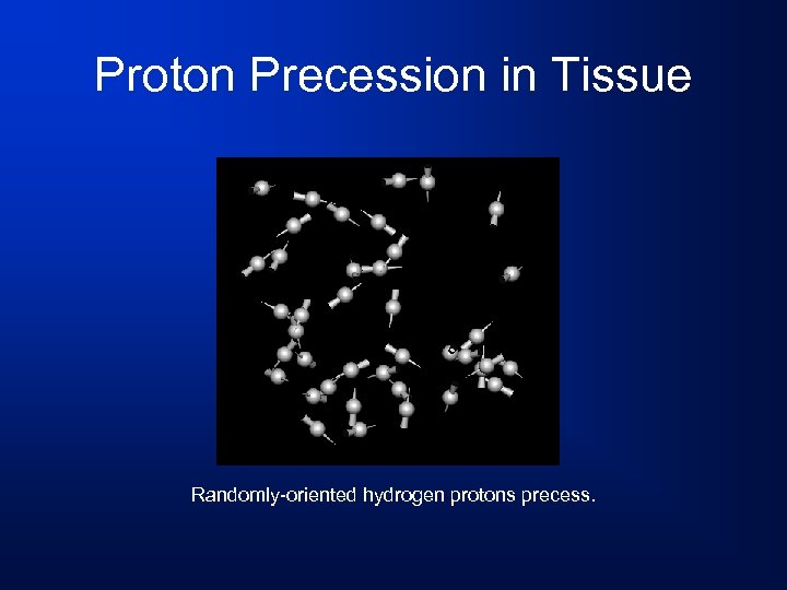 Navigating the Brain Mark P Wachowiak Ph D