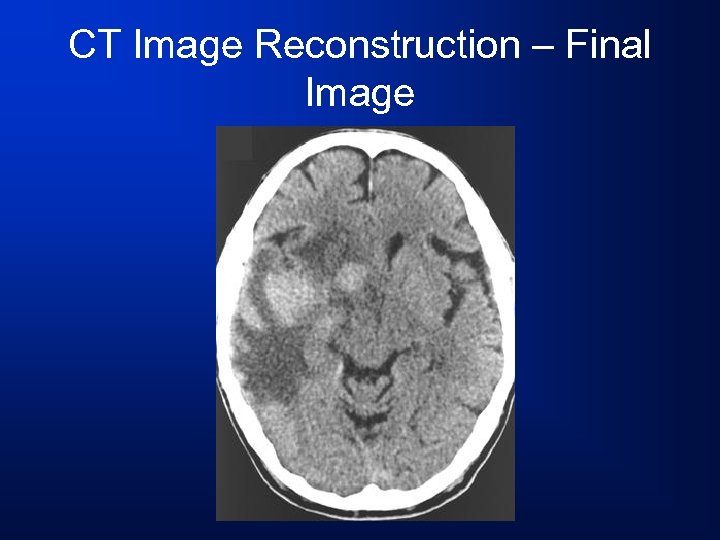 Navigating the Brain Mark P Wachowiak Ph D