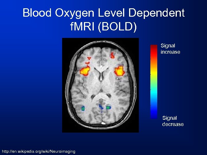 Navigating the Brain Mark P Wachowiak Ph D