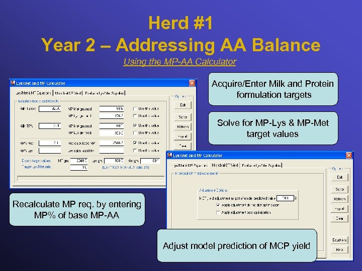 An Approach to AA Balancing Using Formulate 2