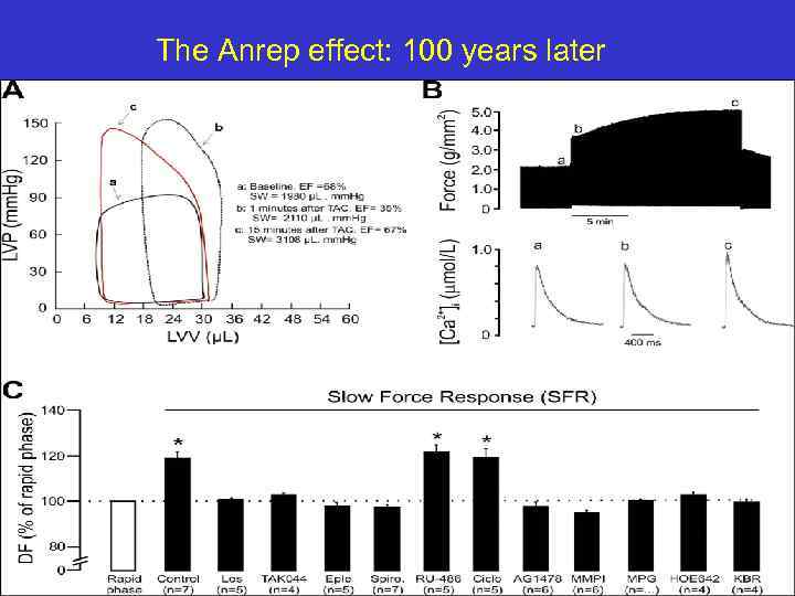 Лекция 2 Механические явления в сердце Электромеханическое