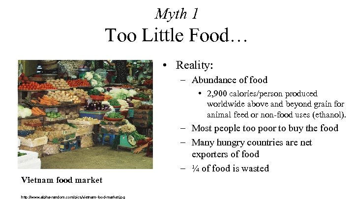 World Hunger 10 Myths Food First http ecx