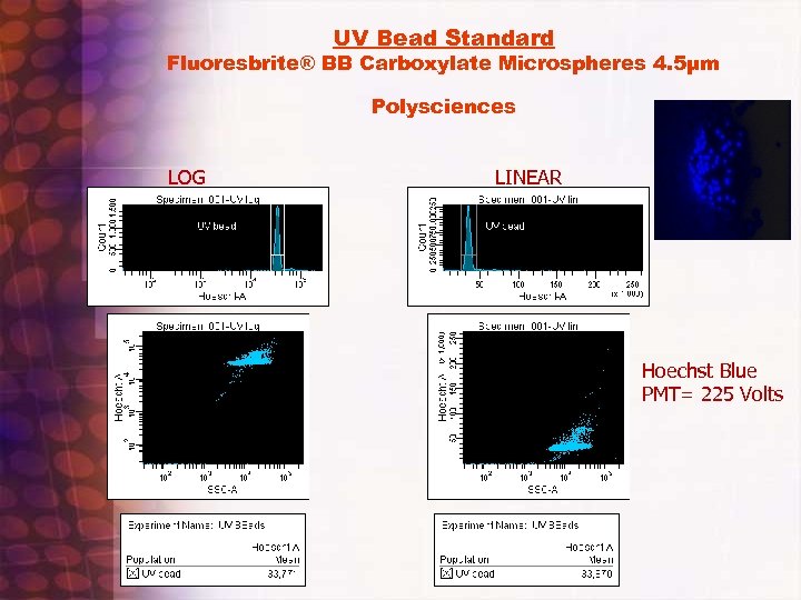 BIOPOLIS Flow Cytometry Facility FACS Flow Cytometry Workshop