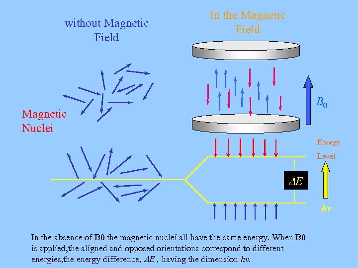 Introduction To Nuclear Magnetic Resonance NMR Principle Of NMR Introduction To Nuclear Magnetic Resonance NMR Principle Of NMR