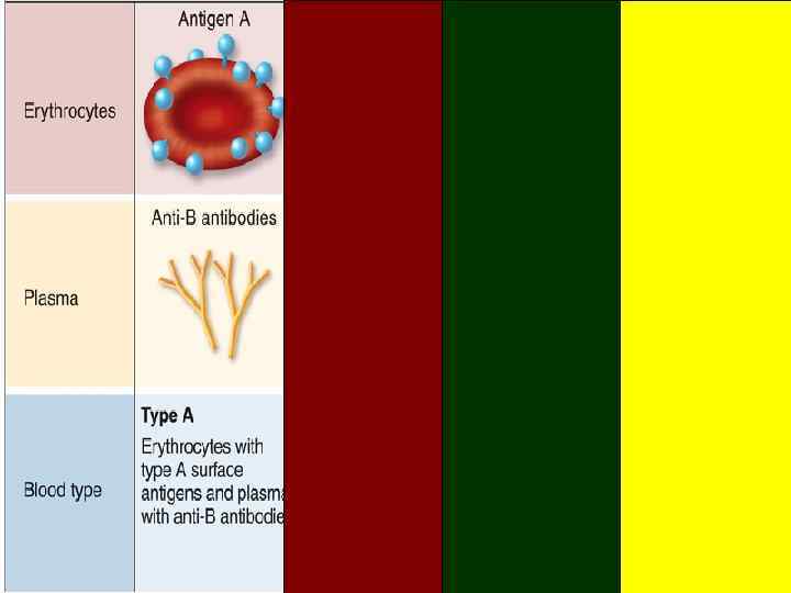BLOOD GROUPS TYPES История 19