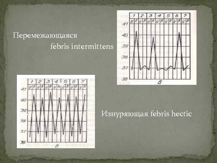 Дифференциальная диагностика заболеваний протекающих с лихорадкой Лихорадка