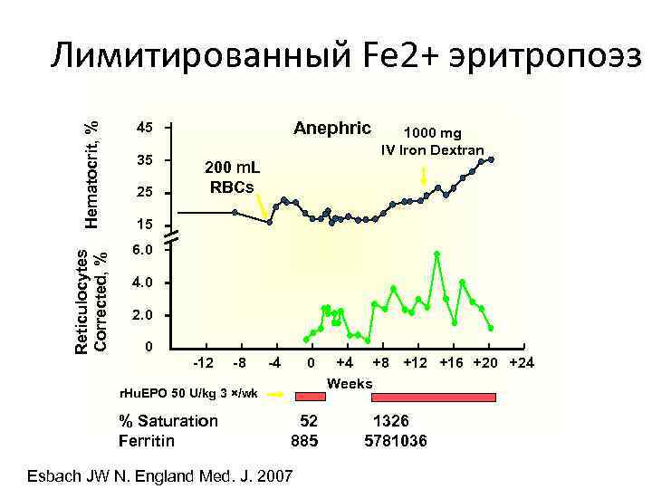 Анемия при ХБП Валерий Шило Кафедра нефрологии ФПДО
