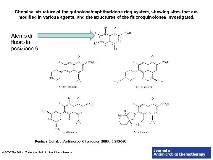 The Quinolones Past Present and Future Vincent T