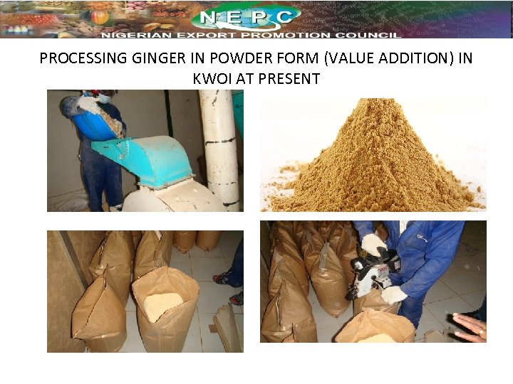 THE DEVELOPMENT OF GINGER VALUE CHAIN IN NIGERIA