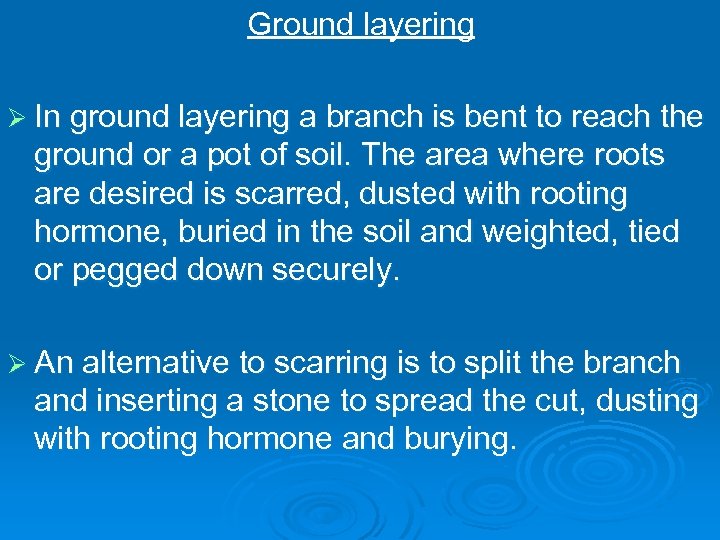 Propagation in the art of bonsai By Dr