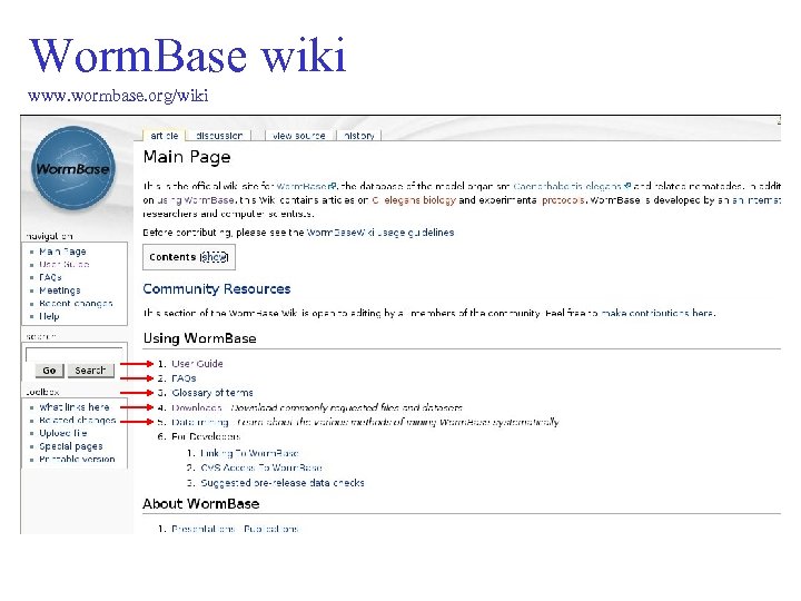 Worm Base Recent and Future Developments Anthony